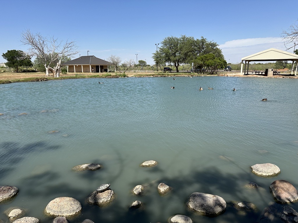 Faces of UTPB: The Duck Ponds - The University of Texas Permian Basin ...